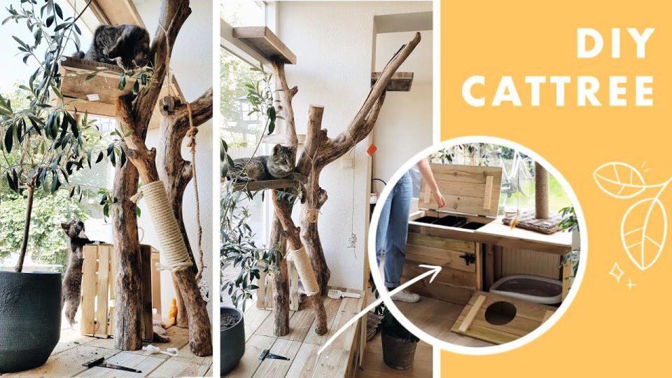 22 Free DIY Cat Tree Plans (How to Build a Cat Tree)