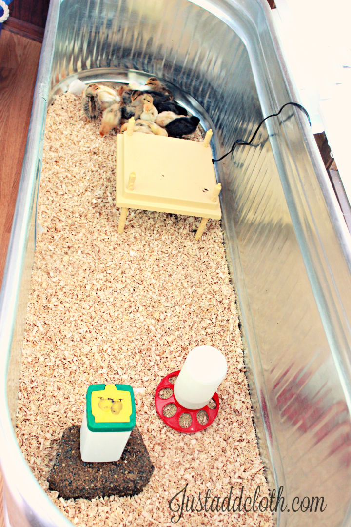 15 Easy DIY Chicken Brooder Ideas and Plans to Make
