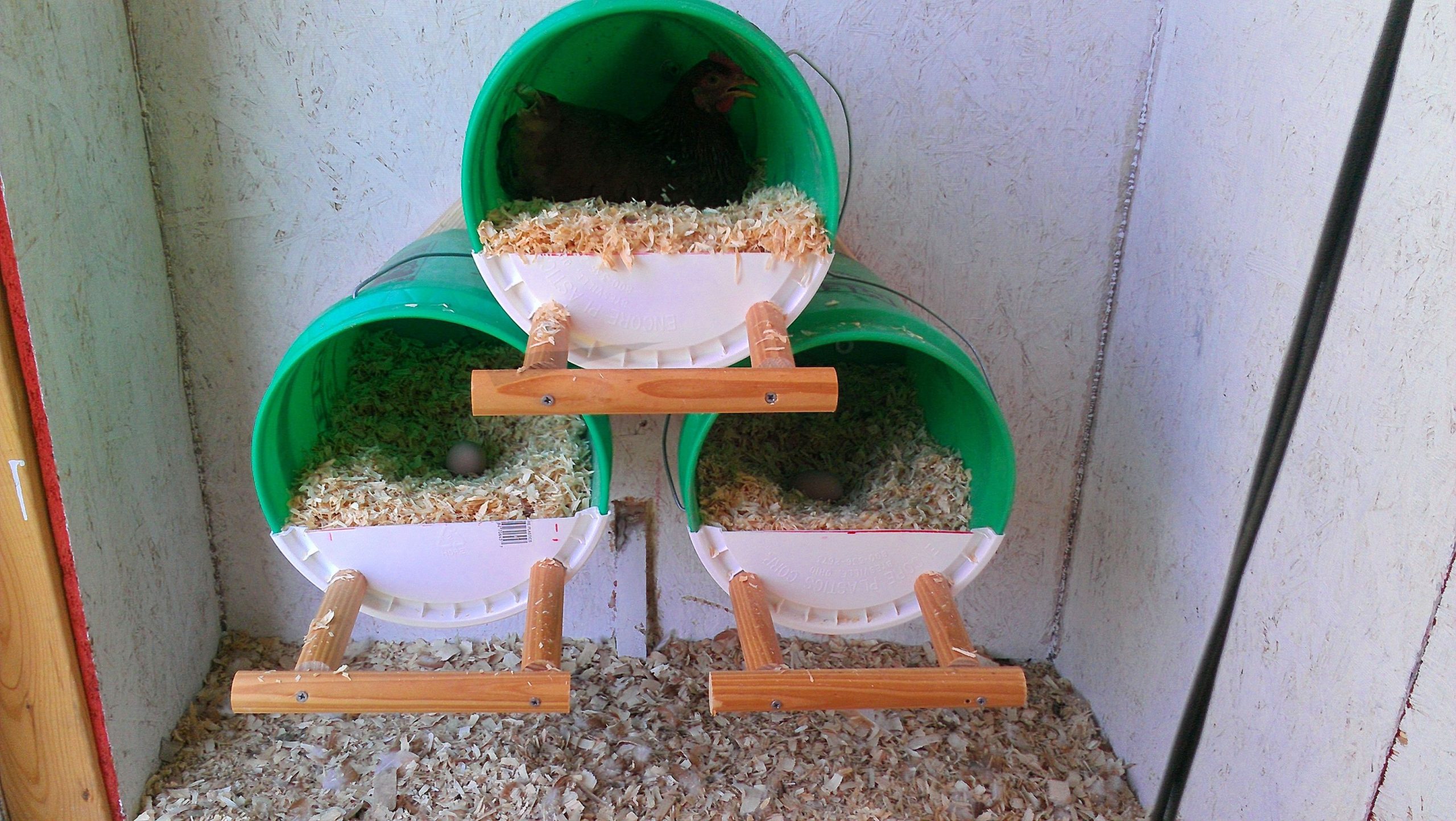 30 DIY Chicken Nesting Boxes (Learn How to Build Yours)