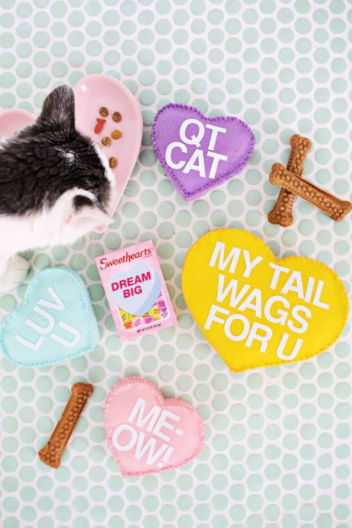 25 Homemade DIY Cat Toys You Can Make