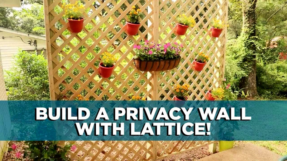 50 DIY Outdoor Privacy Screen Ideas You Can Easily Build