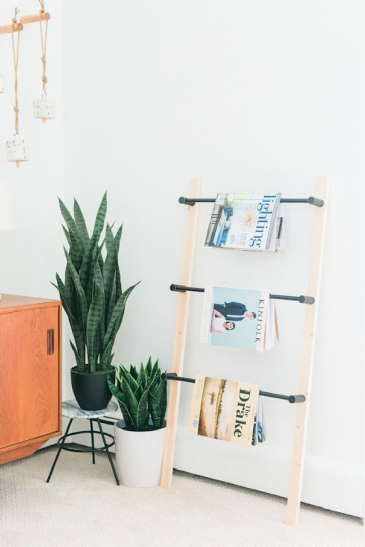 25 Easy DIY Ladder Shelf Plans (How To Build Guide)