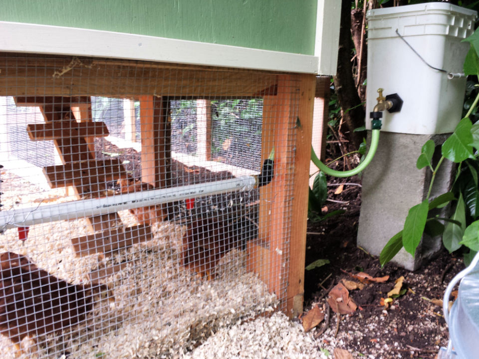 15 DIY Chicken Waterer Ideas Out Of Recycled Materials