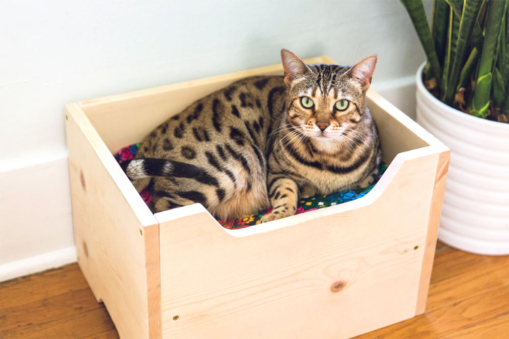 20 Easy Diy Cat Bed Ideas How To Make A Cat Bed