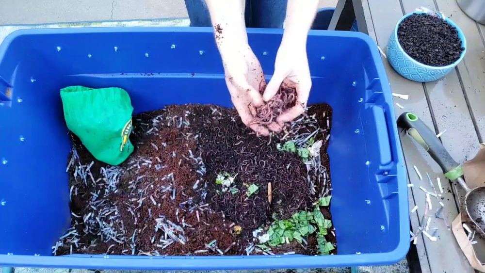 Diy Worm Farm How To Make A Worm Compost Bin