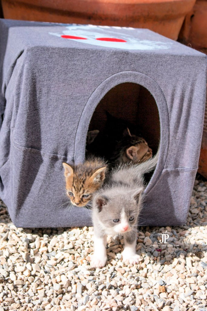 30 Free DIY Outdoor Cat House Plans (How To Build)