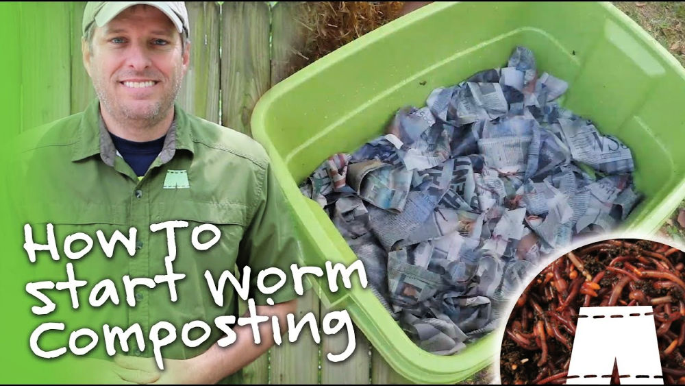 Diy Worm Farm How To Make A Worm Compost Bin