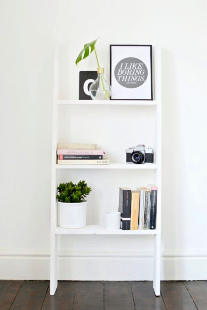 25 Easy DIY Ladder Shelf Plans (How To Build Guide)