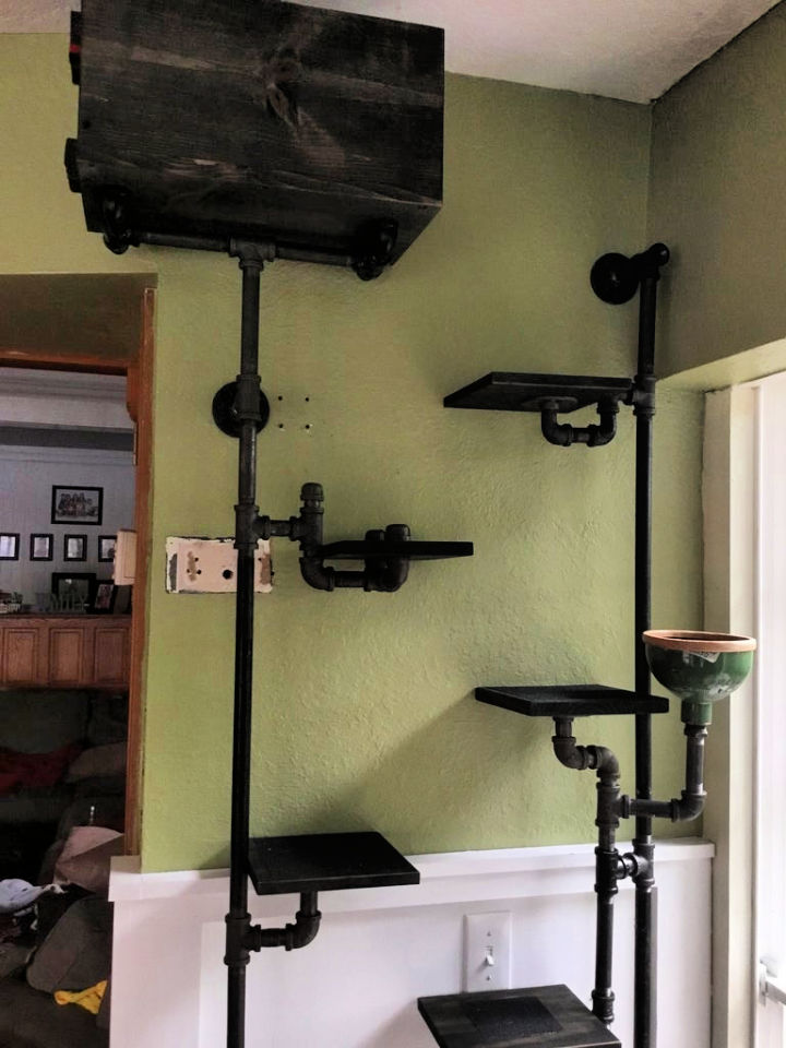 DIY Cat Shelves (14 Easy DIY Cat Wall Ideas)