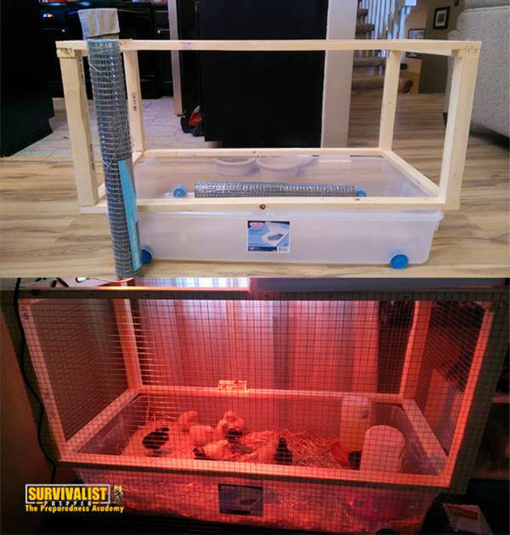 15 Easy DIY Chicken Brooder Ideas and Plans to Make