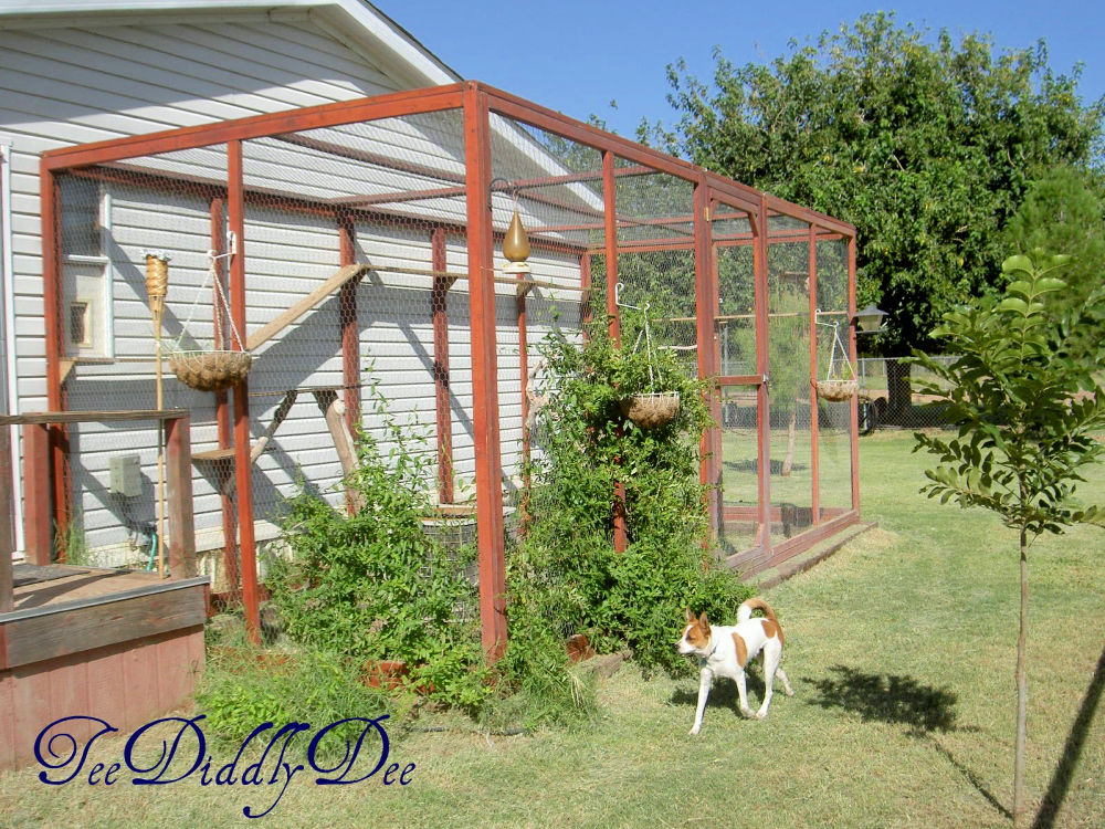 30 Free DIY Catio Plans (DIY Outdoor Cat Enclosure)
