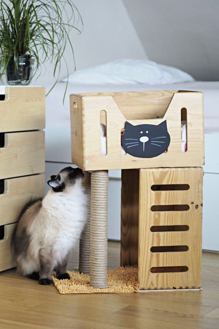 30 Free DIY Outdoor Cat House Plans (How To Build)