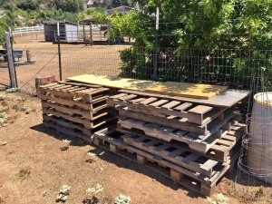 Wooden Pallets: Pallet Uses, Size, Types, & Safety (Free Guide)