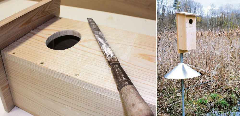 22 Free DIY Duck House Plans and Ideas to Build Yours