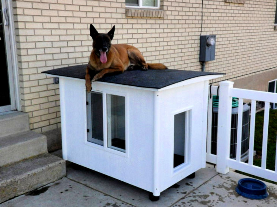 50 Free DIY Dog House Plans (Build a Cheap Dog House)