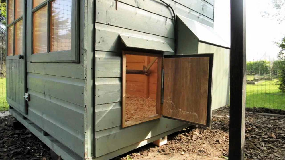 10 DIY Automatic Chicken Coop Door Ideas and Plans