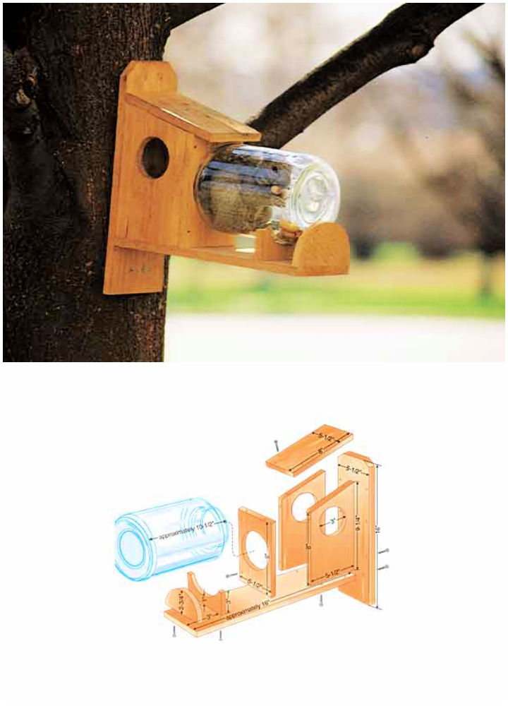 15 Easy DIY Squirrel Feeder Ideas (Make a Squirrel Feeder)