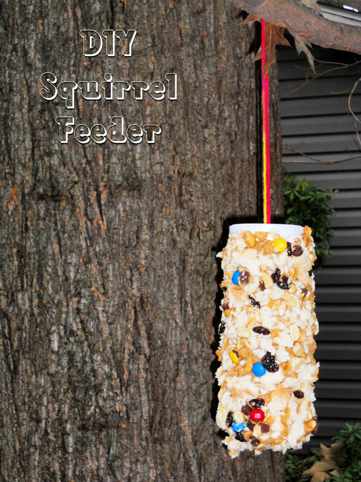 15 Easy DIY Squirrel Feeder Ideas (Make a Squirrel Feeder)