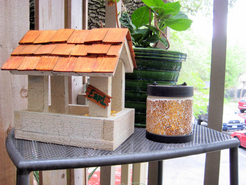 15 Easy DIY Squirrel Feeder Ideas (Make a Squirrel Feeder)