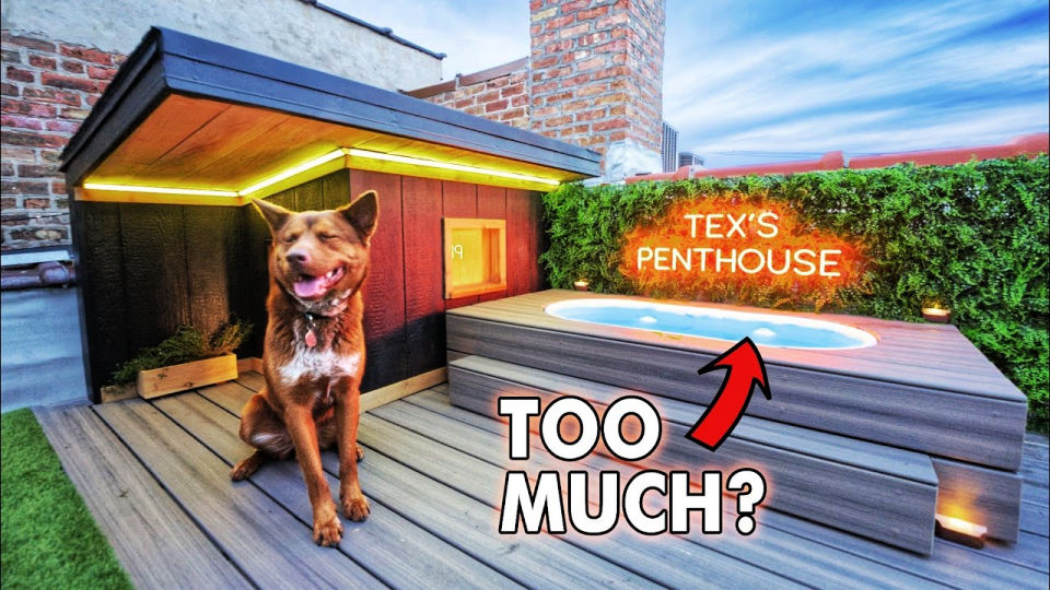 12 Easy DIY Dog Pool Ideas (Build in Ground Dog Pool)