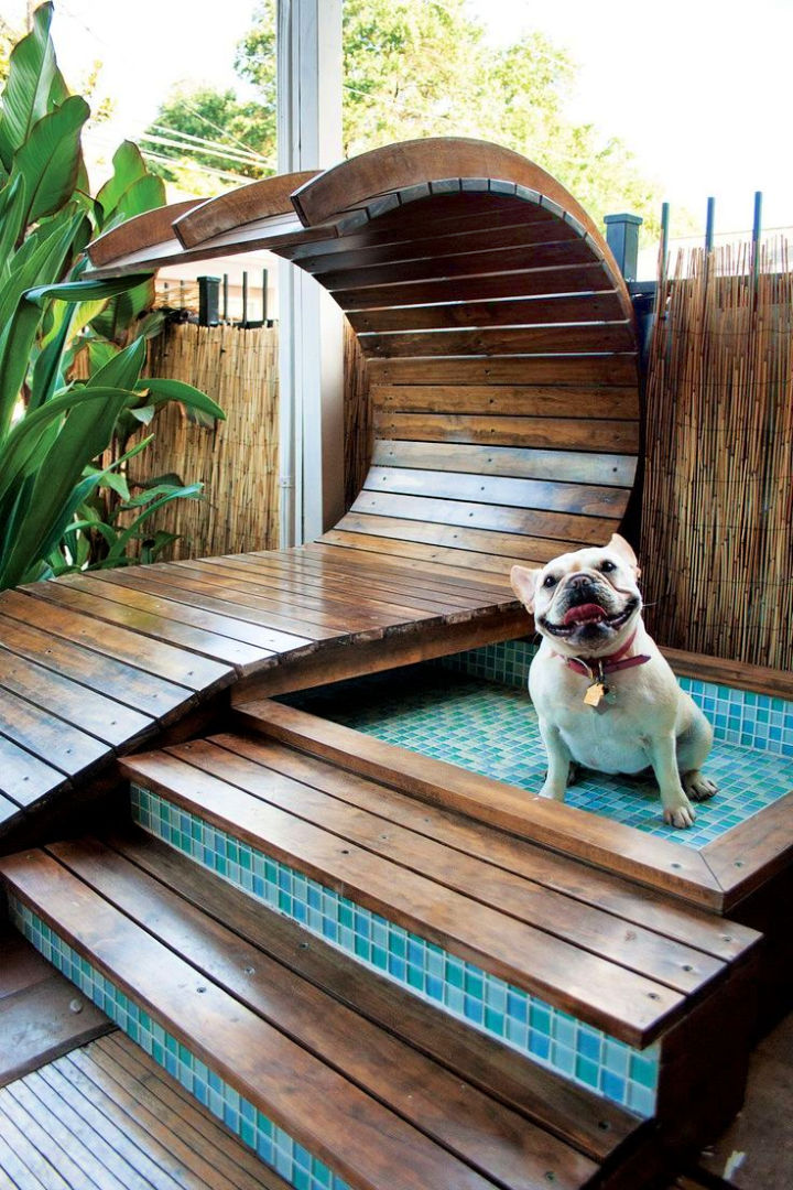 12 Easy DIY Dog Pool Ideas (Build in Ground Dog Pool)