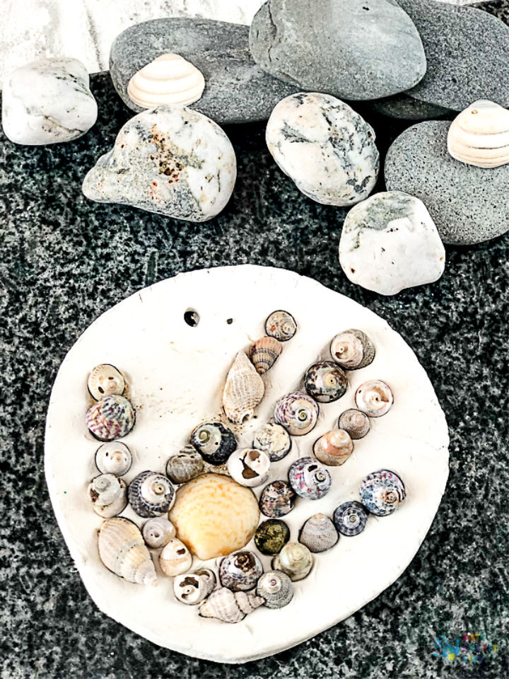 Seashell Crafts: 25 Easy Seashells Art and Decor Ideas