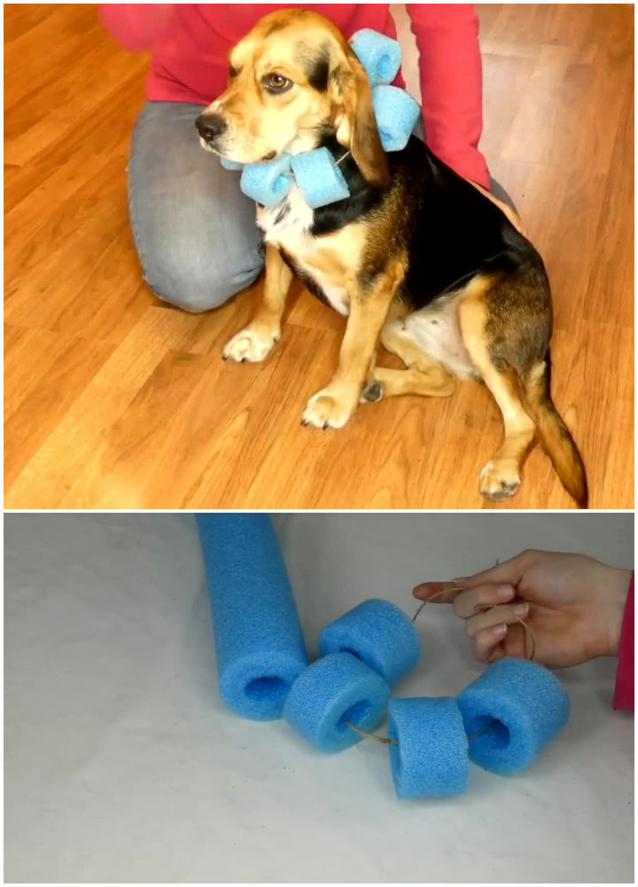 7 DIY Dog Cone Ideas That Are Easy To Make Dog E Collars 7 DIY Dog Cone Ideas That Are Easy To Make Dog E Collars
