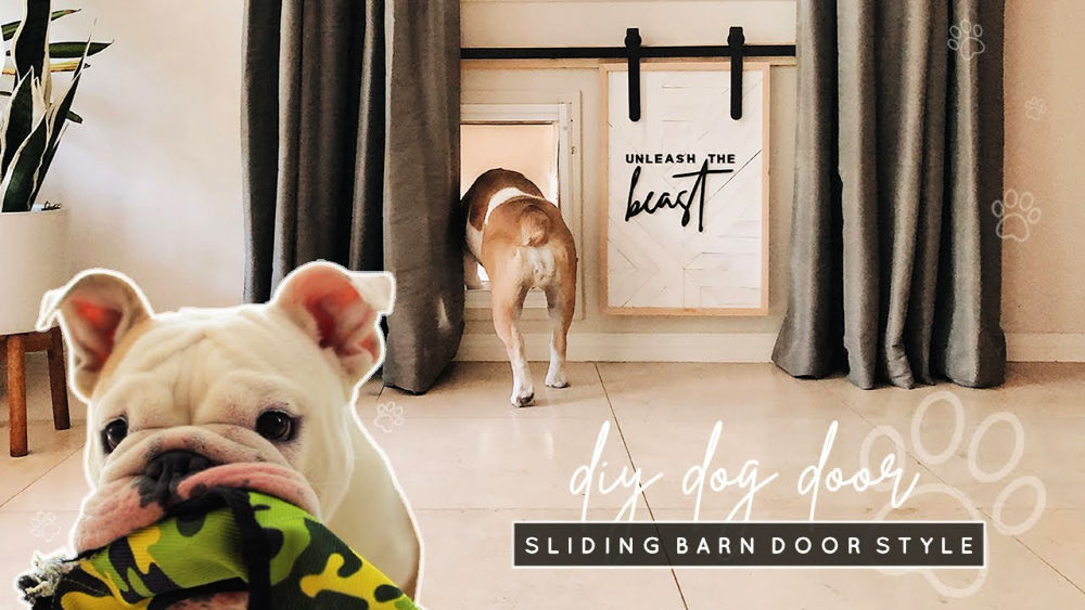 How to Make a Dog Door (8 Free DIY Dog Door Plans)