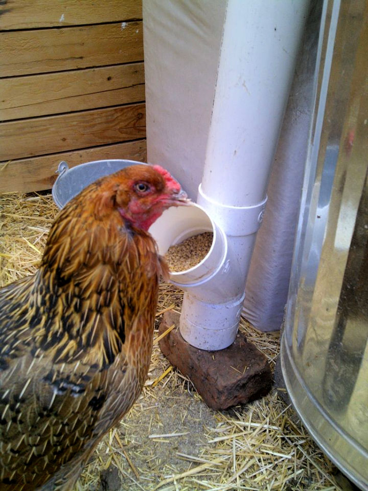 15 Homemade DIY Chicken Feeder Ideas