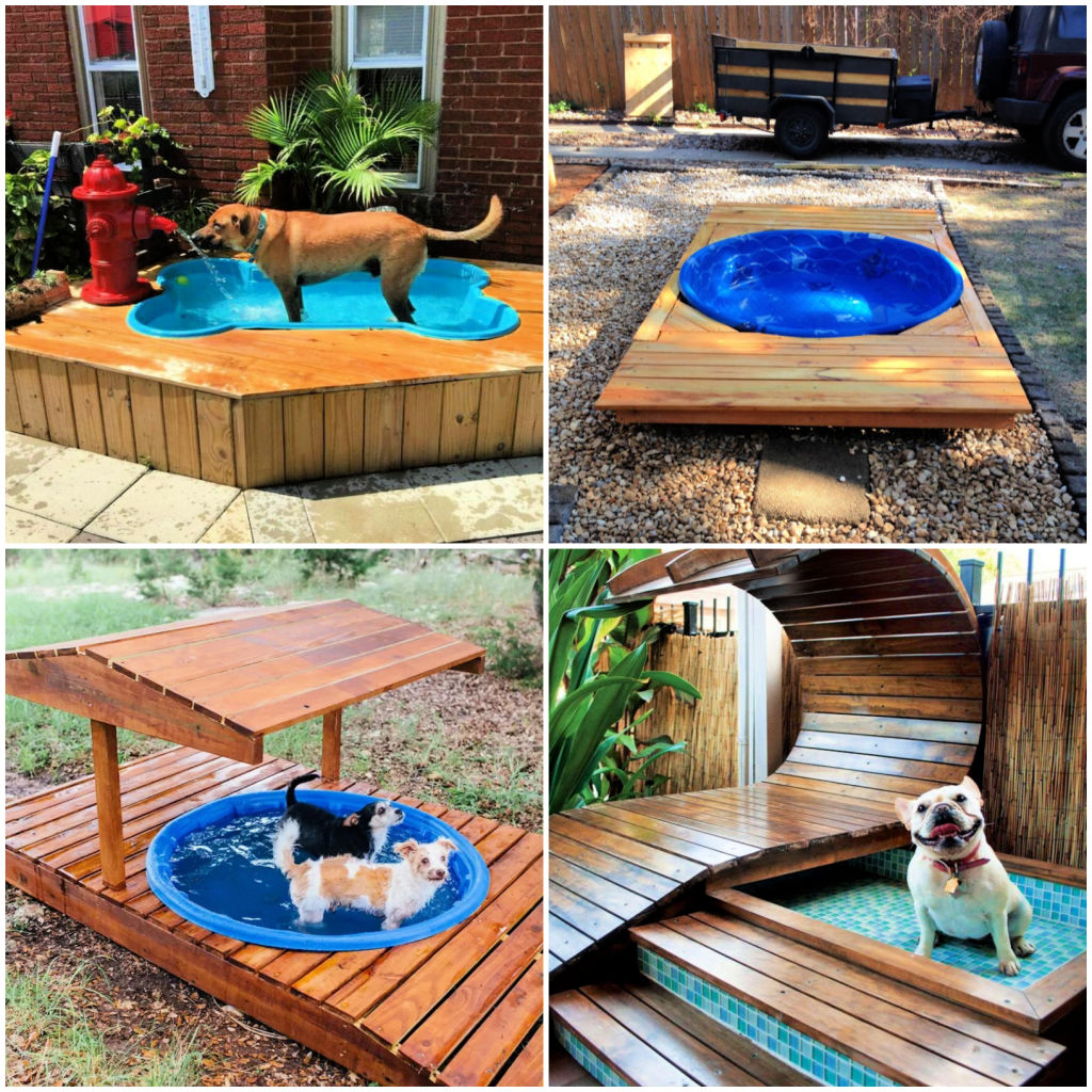 12 Easy DIY Dog Pool Ideas (Build in Ground Dog Pool)
