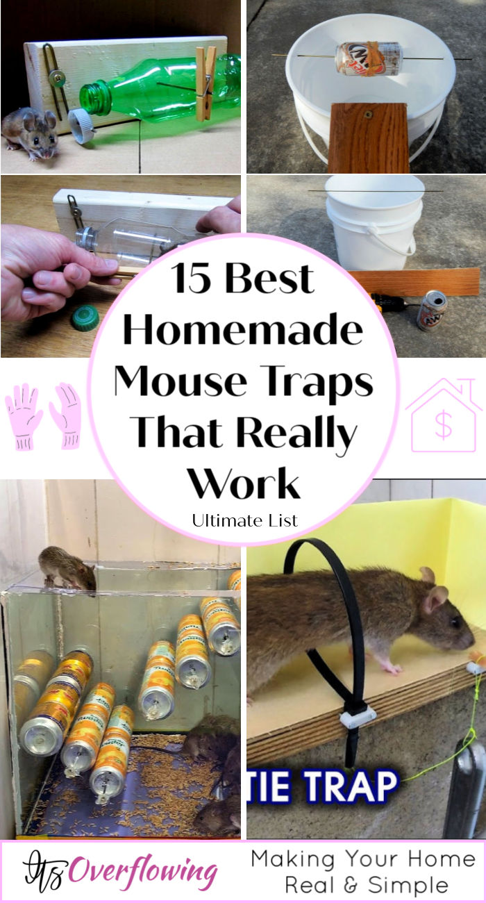 Homemade Mouse Trap 15 Diy Rat Traps That Really Work