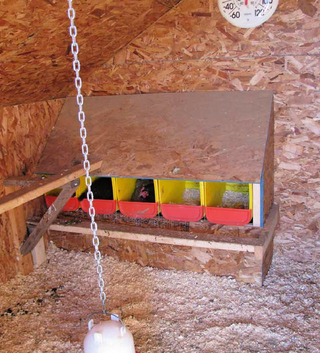 30 DIY Chicken Nesting Boxes (Learn How to Build Yours)