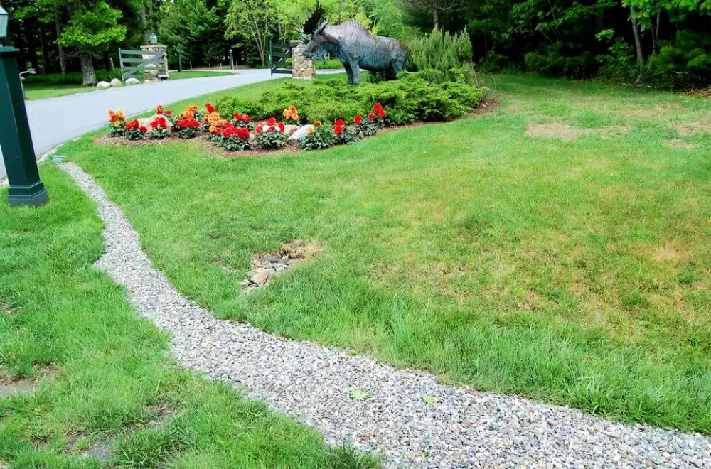20 Easy DIY French Drain Installation Guides To Save Money