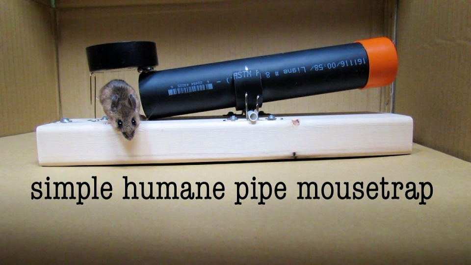 Homemade Mouse Trap (15 DIY Rat Traps that Really Work)