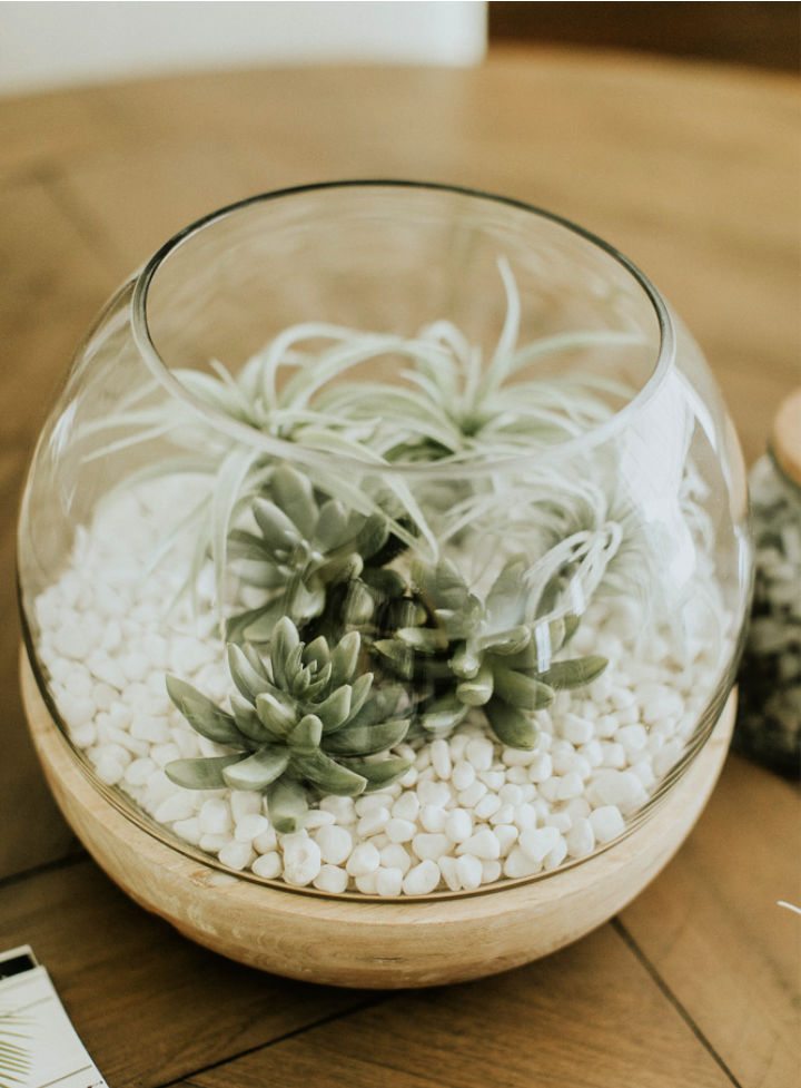 15 Easy DIY Succulent Terrarium Ideas (How to Make)