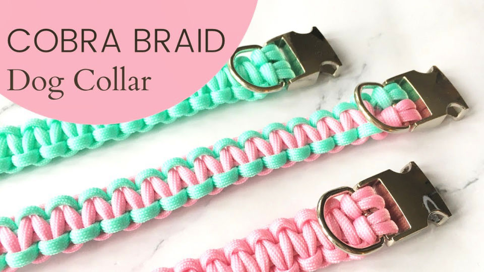 How to Make a Dog Collar (15 DIY Dog Collar Ideas)
