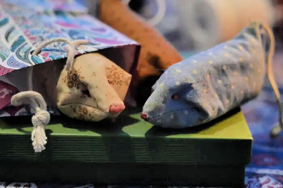 25 Homemade DIY Cat Toys You Can Make