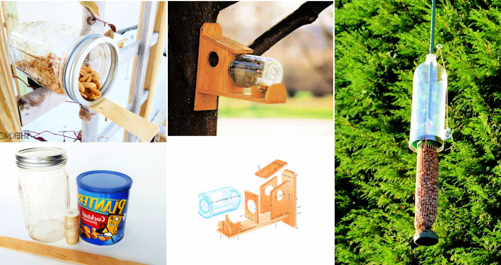 15 Easy DIY Squirrel Feeder Ideas (Make a Squirrel Feeder)