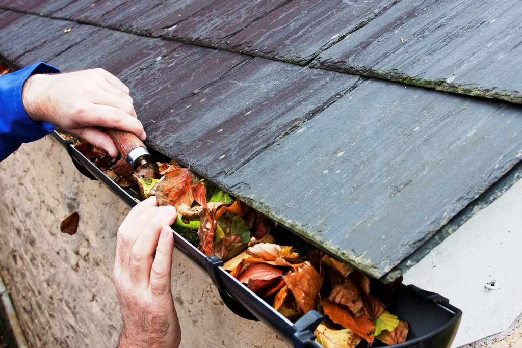 Telltale Signs Your Guttering Needs Cleaning