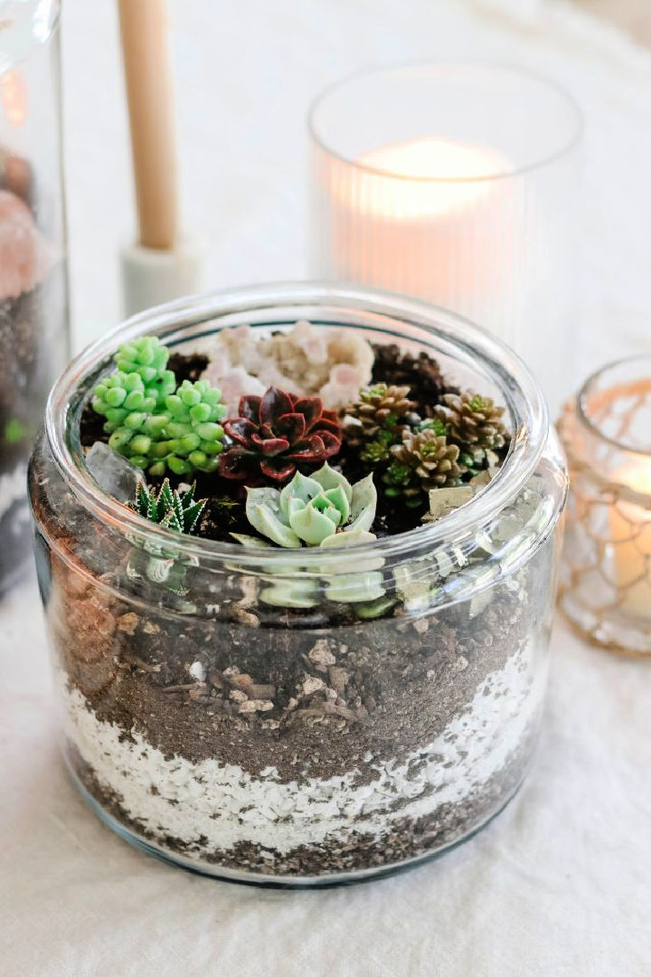 15 Easy DIY Succulent Terrarium Ideas (How to Make)