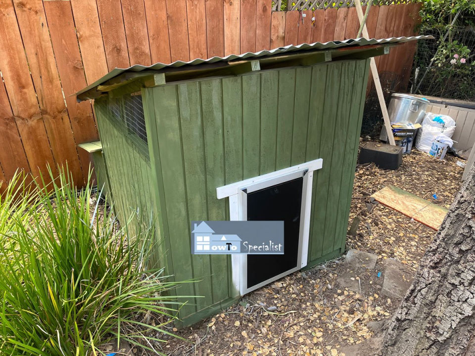 22 Free DIY Duck House Plans and Ideas to Build Yours