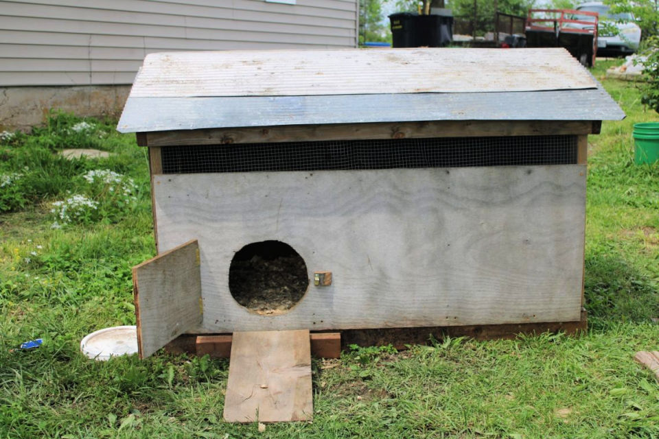 22 Free DIY Duck House Plans and Ideas to Build Yours