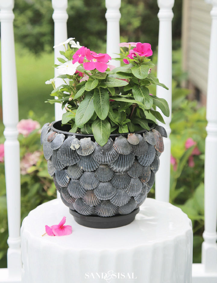 Seashell Crafts: 25 Easy Seashells Art and Decor Ideas