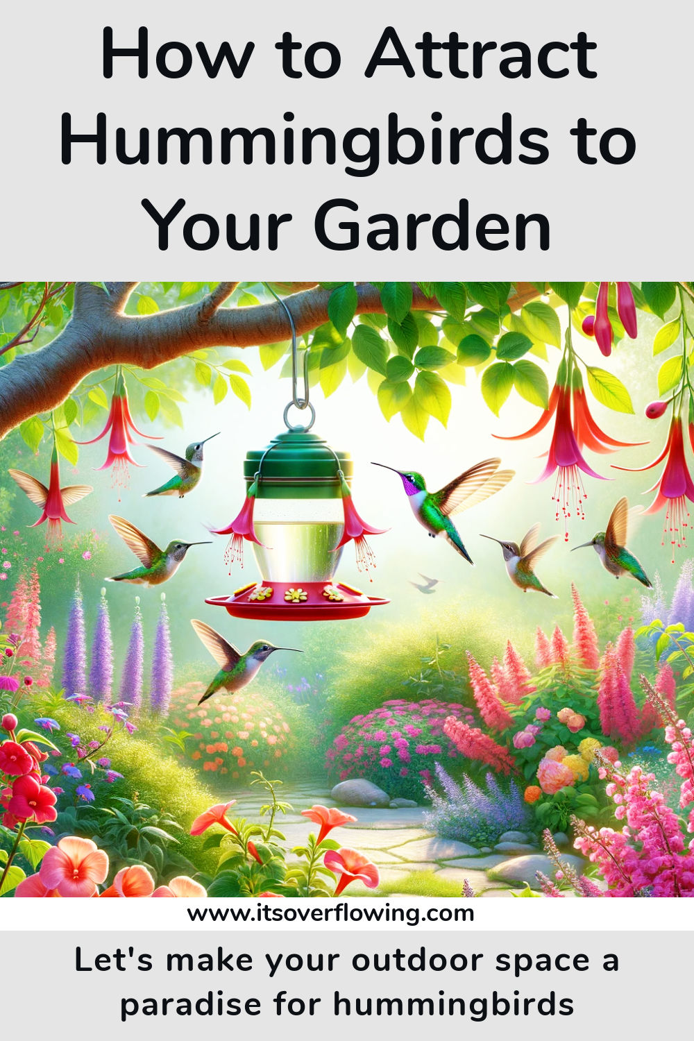 How to Attract Hummingbirds to Your Garden: A Complete Guide