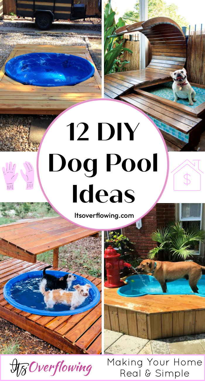 12 Easy DIY Dog Pool Ideas (Build in Ground Dog Pool)