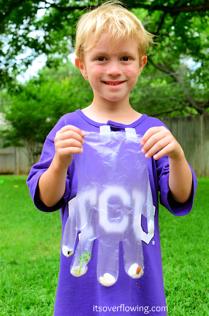 How to Sprout Seeds Easily: A Step-by-Step Guide