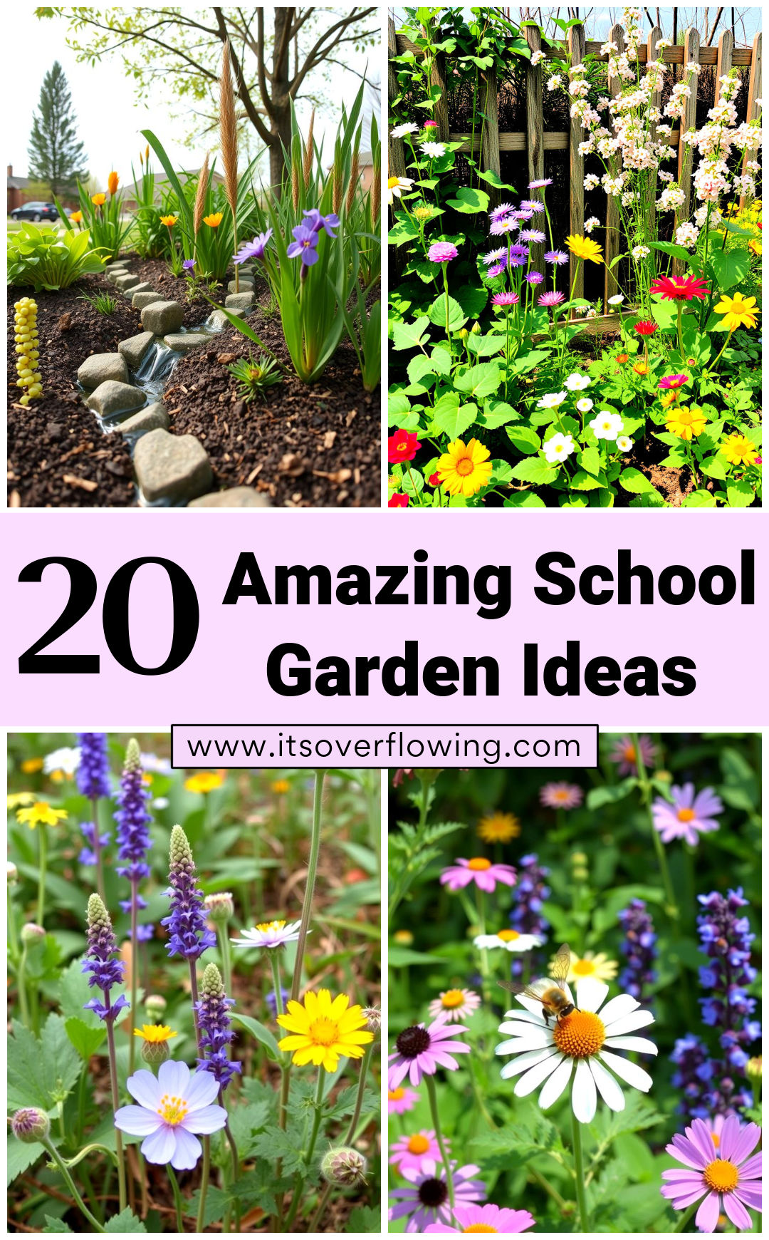 20 Inspiring School Garden Ideas to Engage and Educate