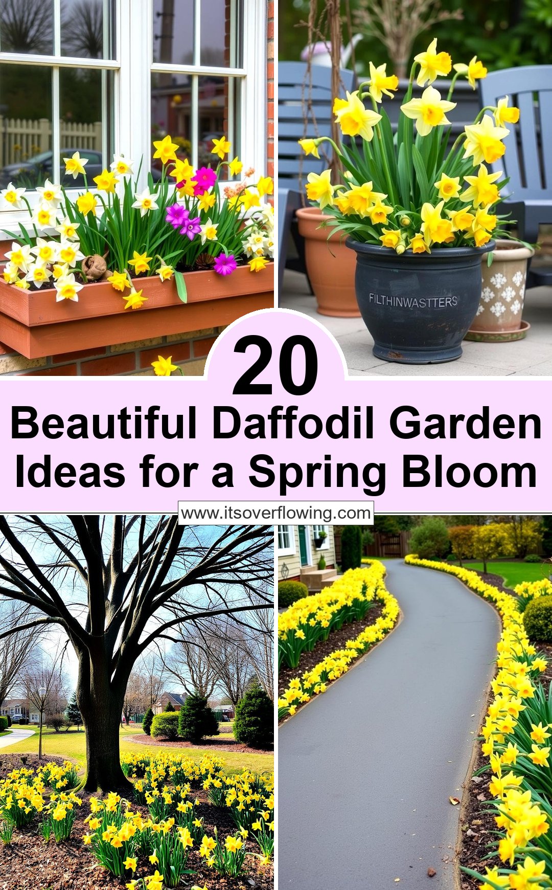 20 Beautiful Daffodil Garden Ideas for a Spring Bloom