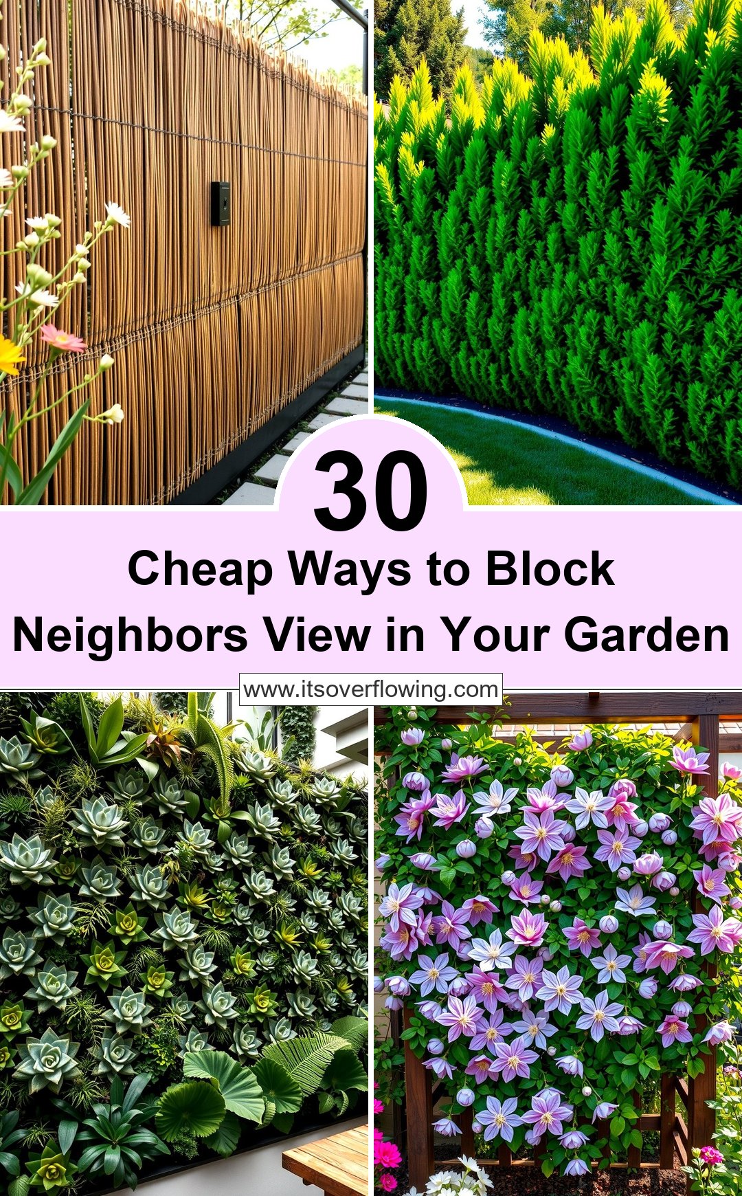 30 Cheap Ways to Block Neighbors View in Your Garden