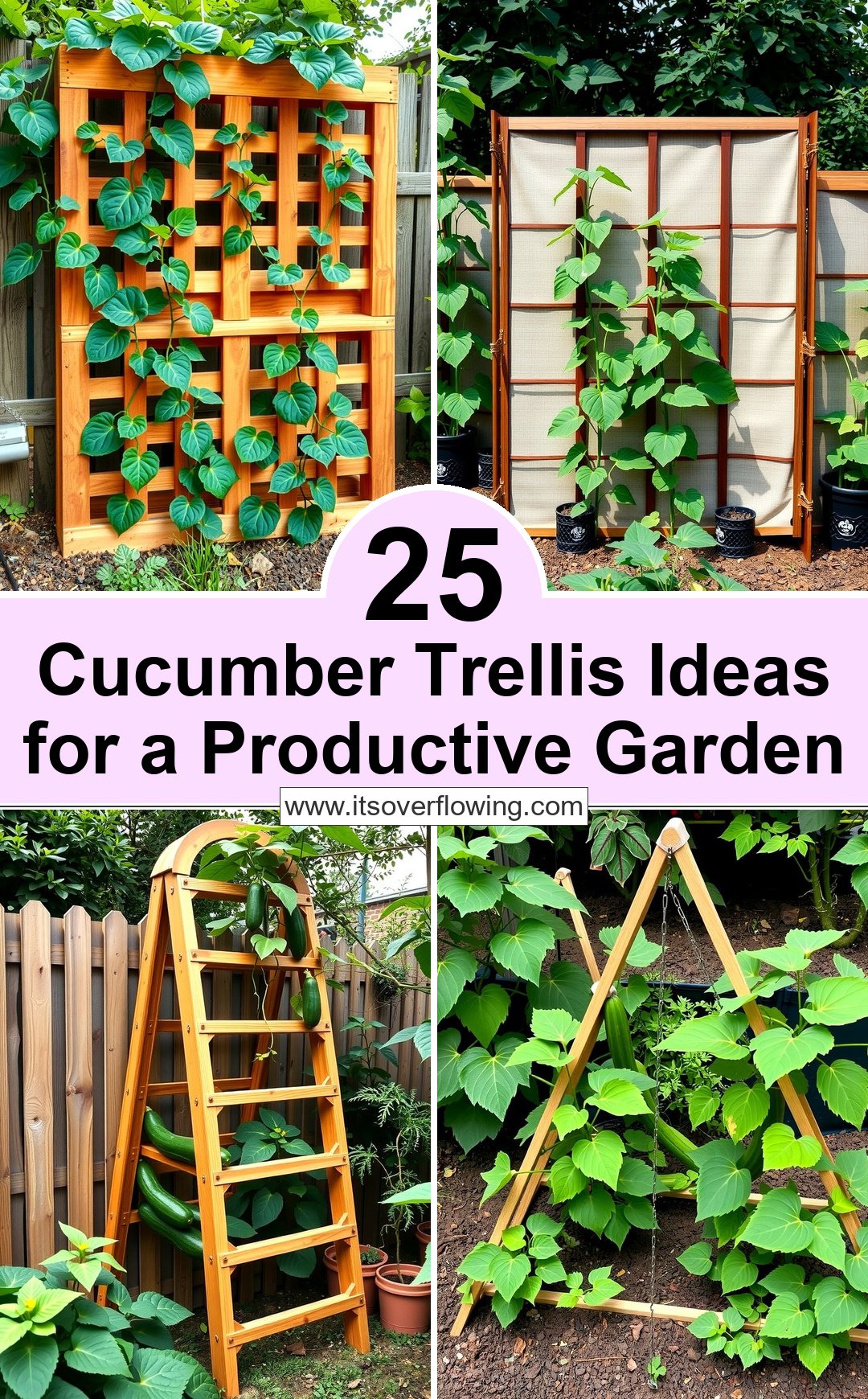 25 Cucumber Trellis Ideas for a Productive Garden
